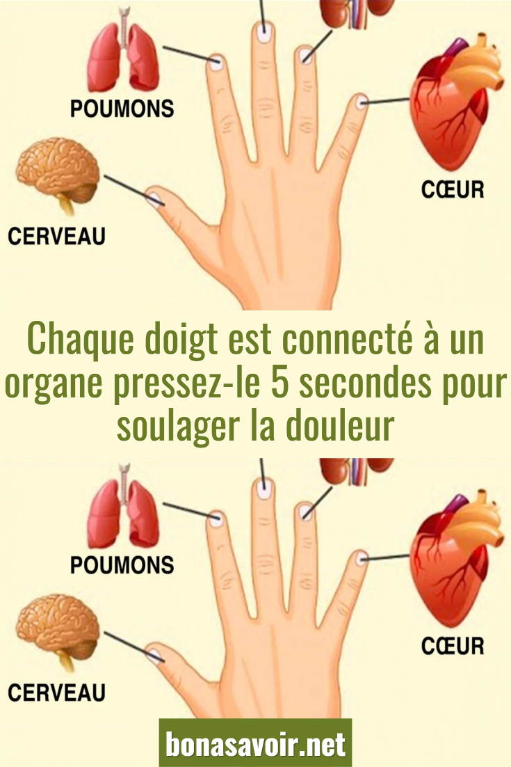 Chaque doigt est connecté à un organe, pressez-le 5 secondes pour ...