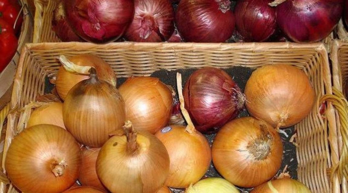 L’oignon: apprendre à cuisiner chaque type d’oignon à la perfection ...